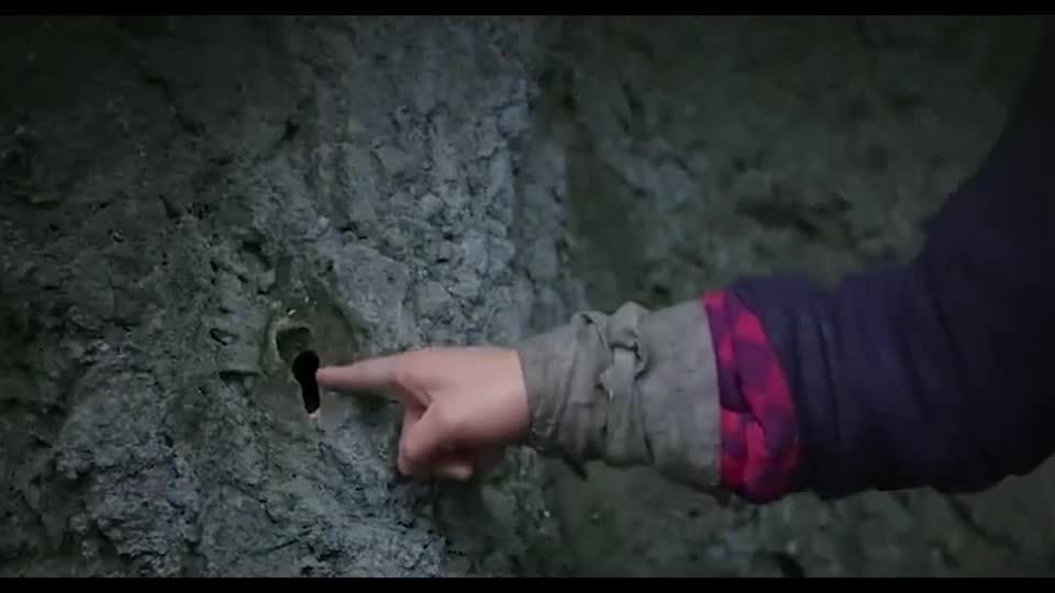 成功的案例往往都是在一个不小心