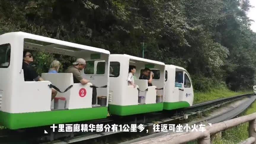 张家界的必游景点十里画廊,石头独特风景秀丽,还有往返小火车坐