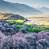 生来野性偶尔温柔的 