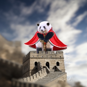 吴哥特长 