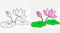 儿童简笔画教程|几分钟学画卡通荷叶荷花, 是不是很简单呢?