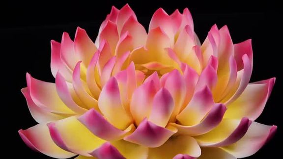 #视觉艺术 #创意设计 #装饰摆件