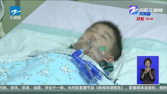 “致命”的猎犬(三):宁波五岁男孩被狗撕咬,命悬一线