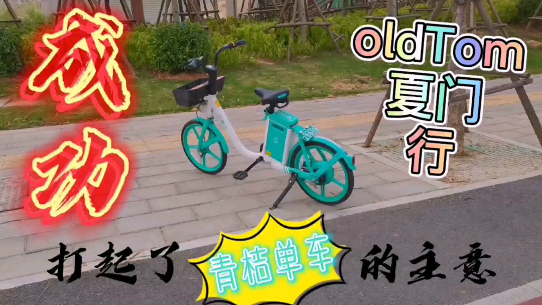 吃饱饭,成功打起了“青桔单车”的主意