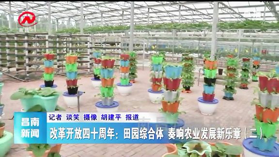 田园综合体:蔬菜和水果生长插上科技翅膀,一年四季尽是丰收景象