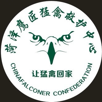 菏泽鹰匠猛禽救护中心 