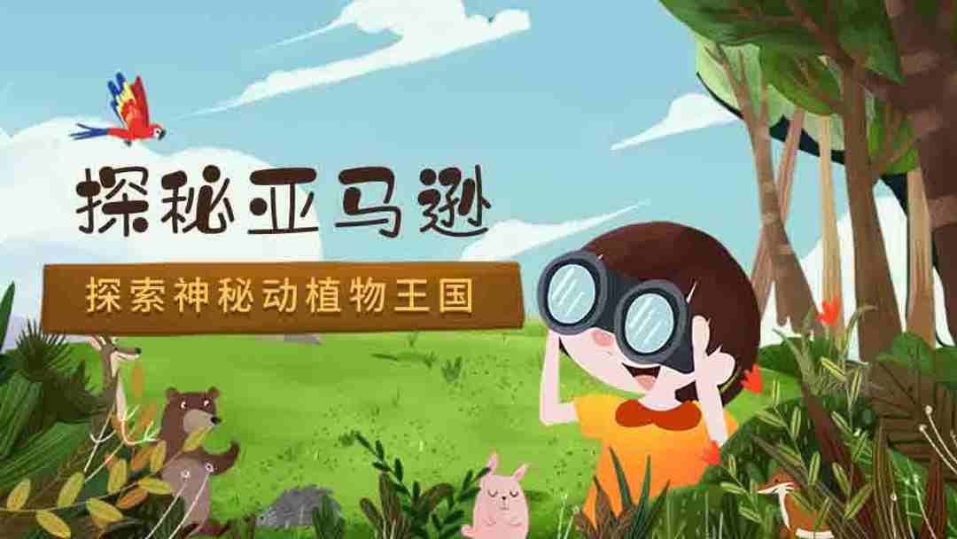 深入亚马逊