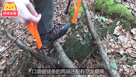 大叔发明“新型锯木神器”,能直接装进口袋,30秒锯断一棵树