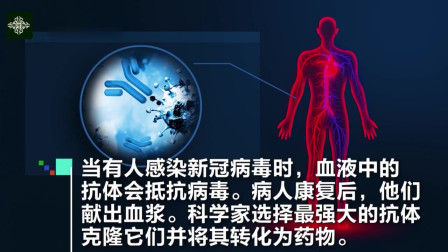 美国正在进行单克隆抗体研究 疗法预计今夏面世
