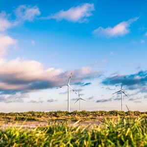 风的经济学科普 
