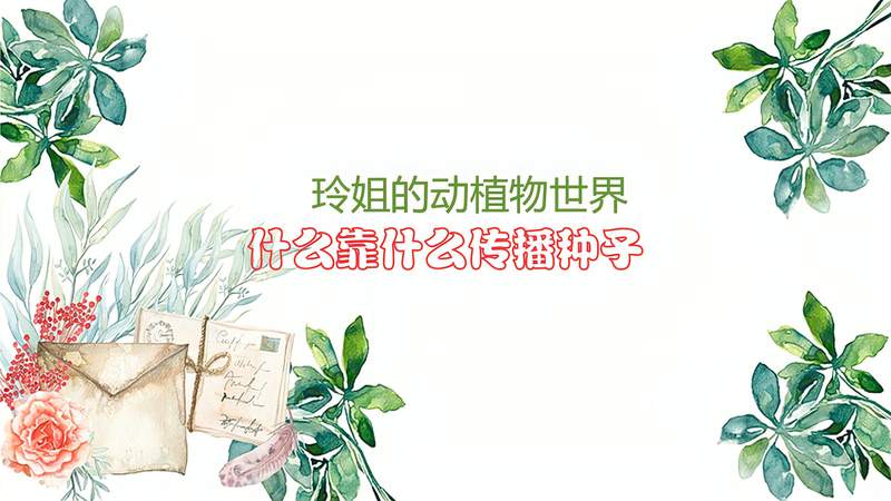 什么靠什么传播种子
