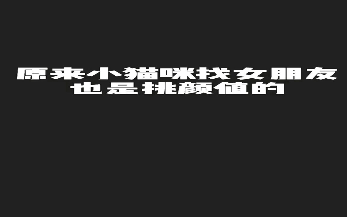 怎么办,泡芙来我家玩一天,我家小公猫发情了@王泡芙 #猫咪的迷惑行为