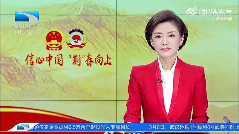 2023全国两会看湖北 信心中国荆春向上 【两会“荆”彩好声音】今年...