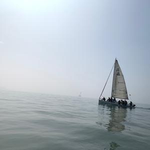 人人工程师灰灰 