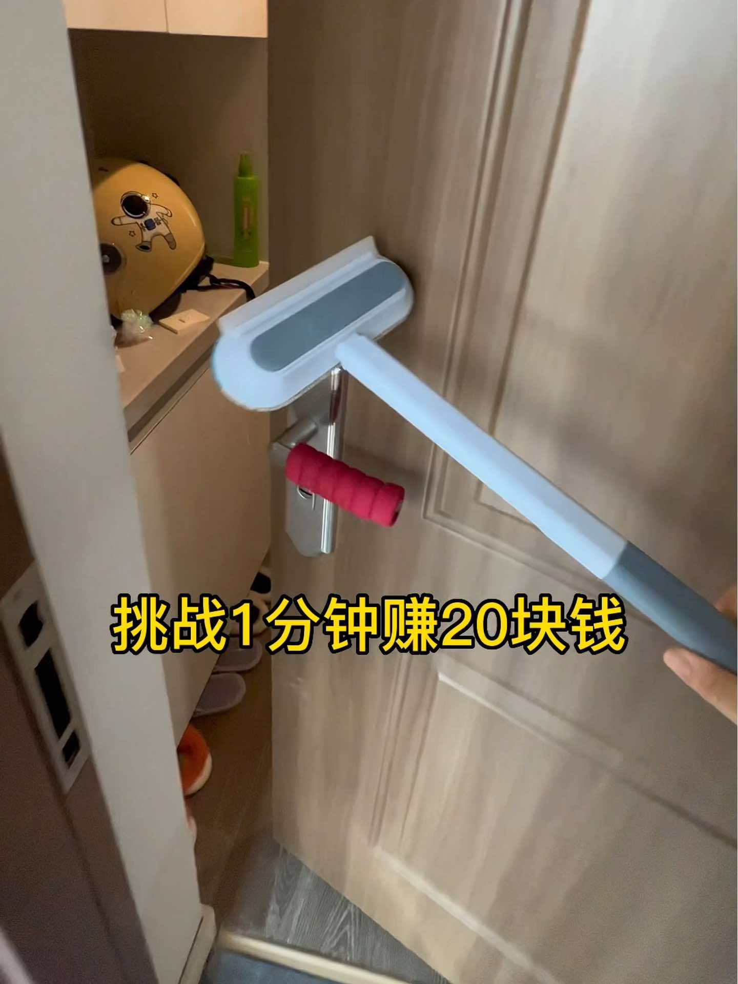 挑战一分钟赚20块钱#猫毛解决方案 #萌宠好物