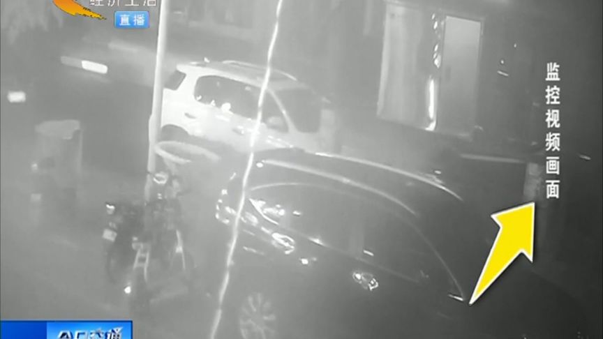 轿车倒车与另一车发生碰撞,司机逃跑担心被追,一脚油门冲进河里