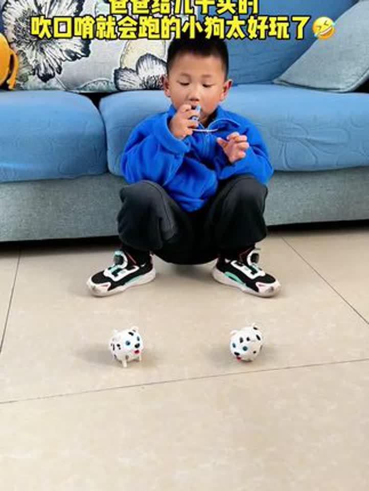 听到口哨声音就能动起来的小狗,也太有趣了吧!多吹口哨还能锻炼口腔,...