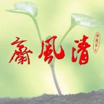 清风斋2021 