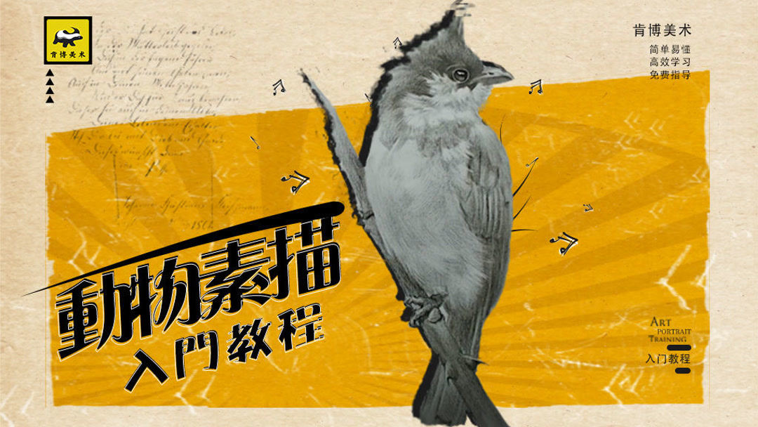 小鸟素描教程之起形