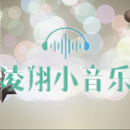 凌翔小音乐 