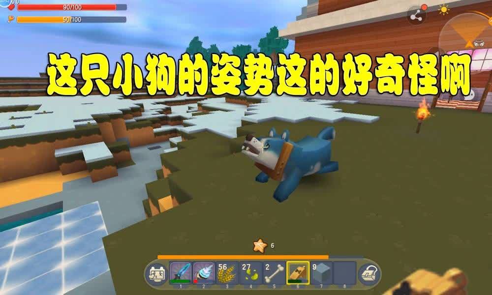 迷你世界:这只小狗的姿势好奇怪啊!哨子都叫不起来!