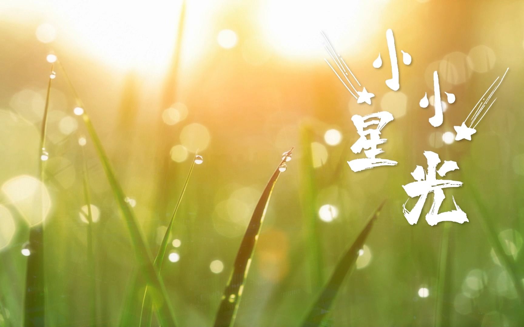 《小小星光》安徽博物院青少年社会实践活动——公共服务小能手