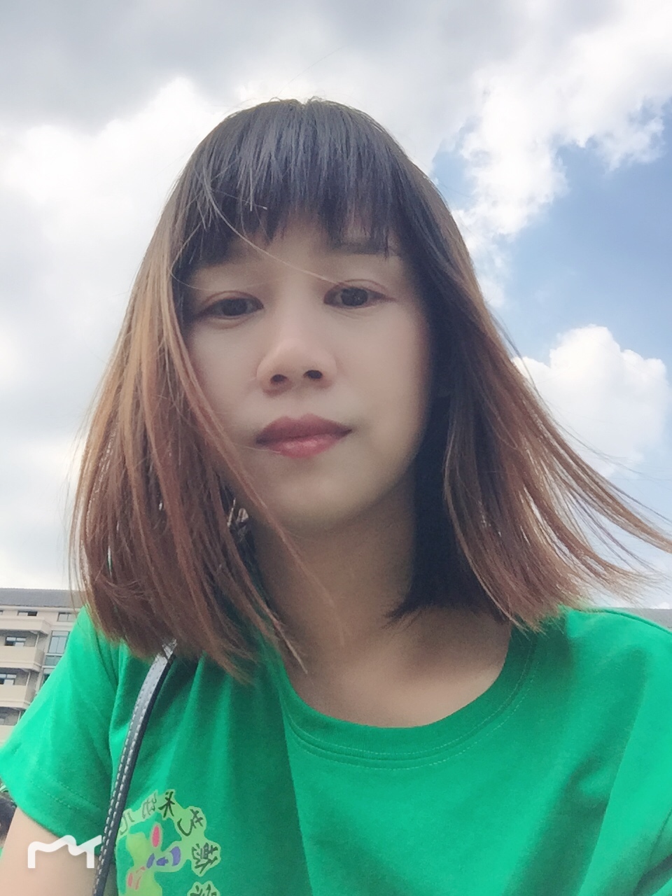 木时目光 