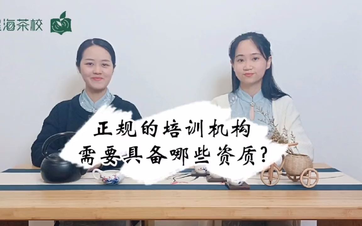 第15集 正规的培训机构需要具备哪些资质呢?