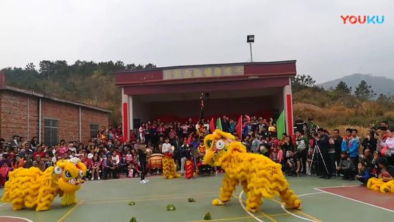 新年醒狮表演,引数千人观看,精彩