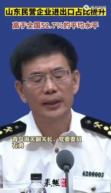 果然发布|今年上半年,山东民营企业进出口比重超7成