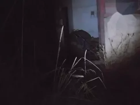 猛子探险实录之小孩儿(2019.4.5)花絮2