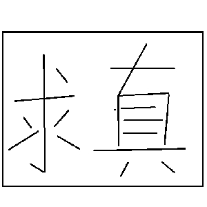 生命的状态真实 