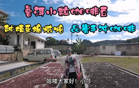集种植、采摘、烘焙味一体的咖啡庄园,去尝尝普洱闻名的小粒咖啡