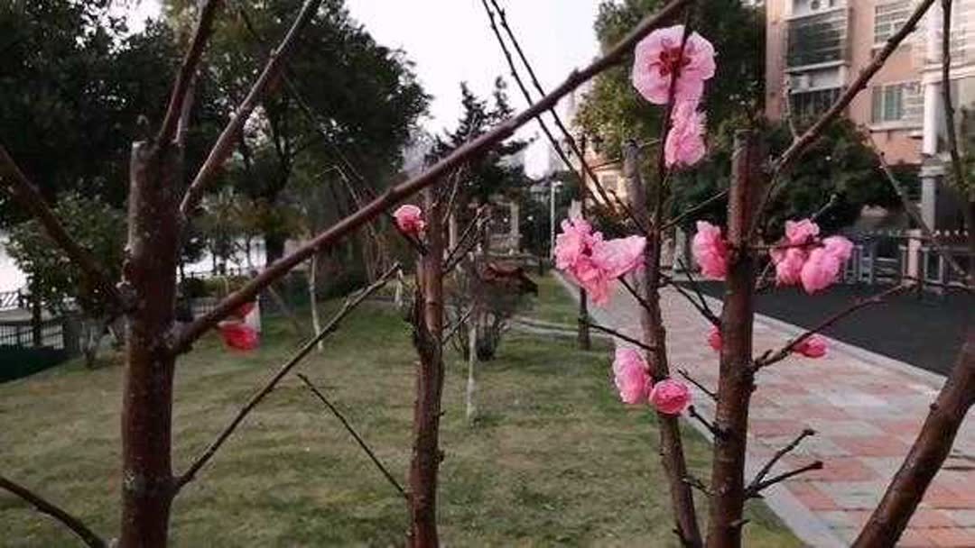 生活中不缺乏美,缺乏发现美的眼睛……