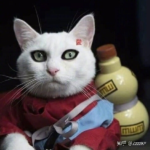 DJ小鹏 