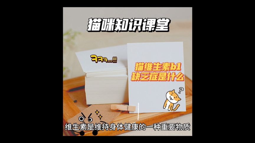 猫维生素b1缺乏症是什么