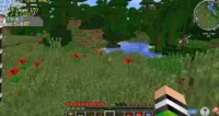 我的世界神奇宝贝 小茶解说 第2集 找到丛林地形,据说神兽梦幻会在...