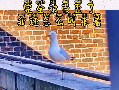 小鸟与狗子对话之后,没想到学会了一门新语言