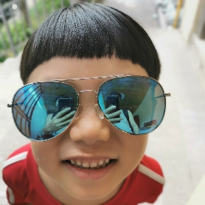 迪杰斯特拉先生 