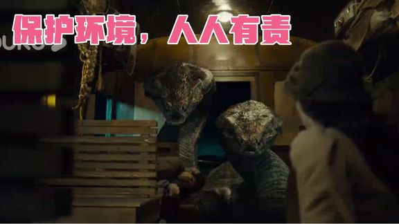 保护好生态环境平衡,是自然社会的法则