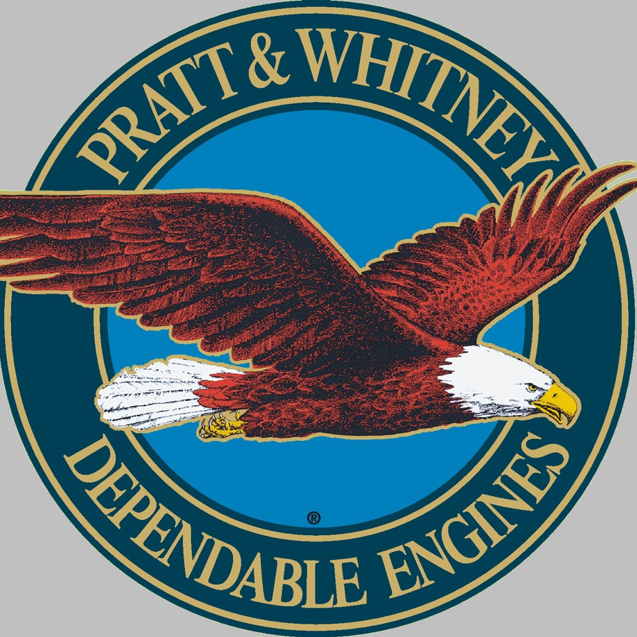 切尔西的汤姆猫 