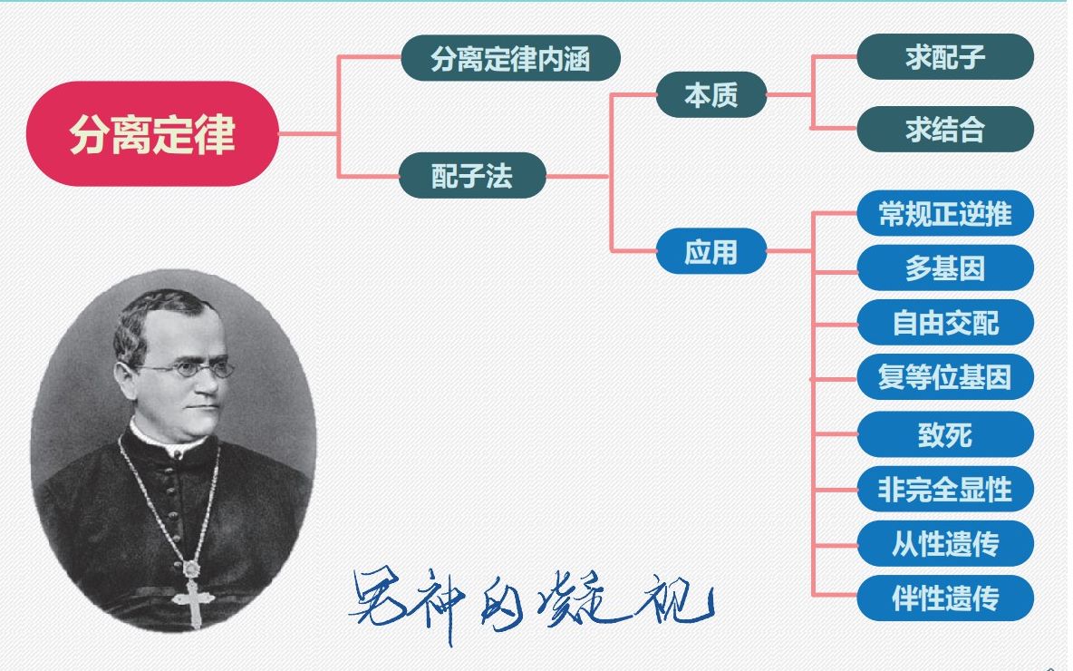 走向高考生物满分---德叔生物笔记(分离定律及其拓展)