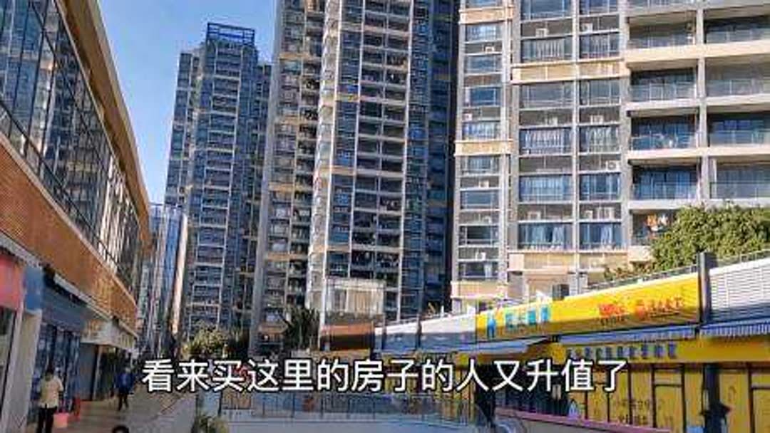 大亚湾房子入住率有多高?居住大亚湾的人带你看商业配套房子