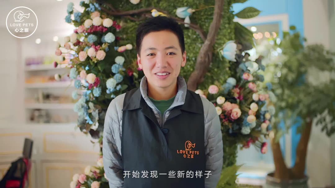 成都心之旅宠物品牌介绍旗舰店宣传片 宠物店狗狗视频