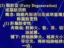 2细胞与组织的适应与损伤(2)