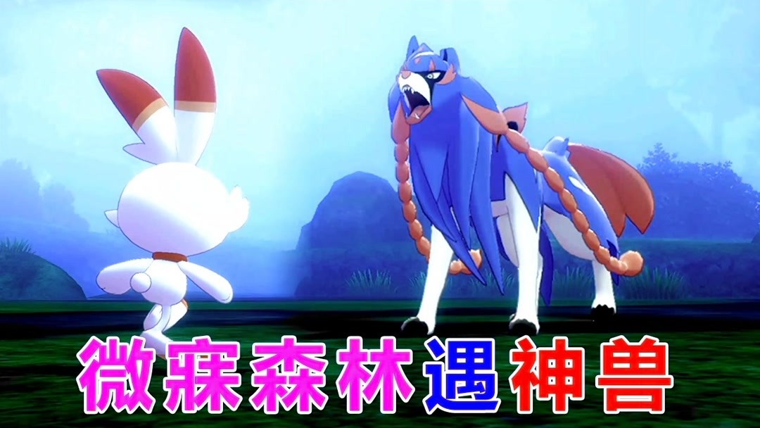 精灵宝可梦剑:微寐森林里的神兽 购买衣服换身装扮