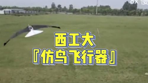 西工大研发仿生扑翼飞行器 飞行时长突破2小时