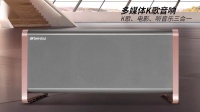 ...山水H3家庭KTV音响套装家用小型k歌设备ktv专用全套客厅会议室...