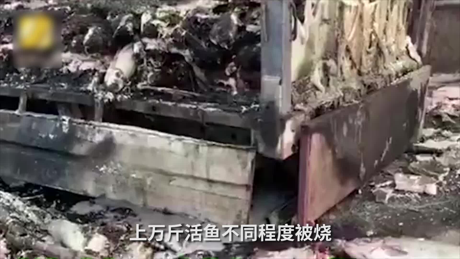 大货车行驶中突然爆胎怎么办,这样做可以保证安全