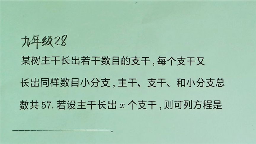 九年级一日一题28,一元二次方程应用题